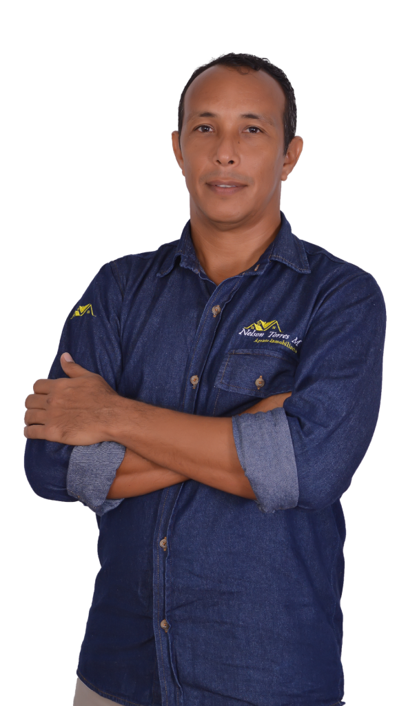 Nelson Torres M - Nelson Torres M - Agente Inmobiliario